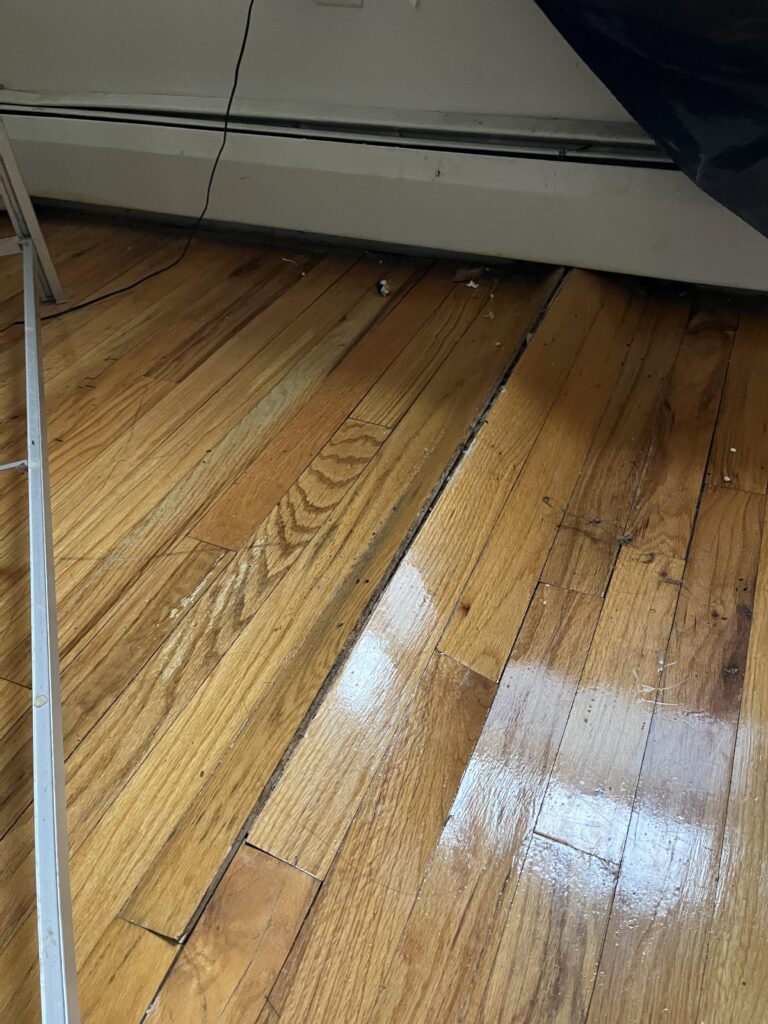 Hardwood Floor Buckling From Water Damage: Causes, Warning Signs ...